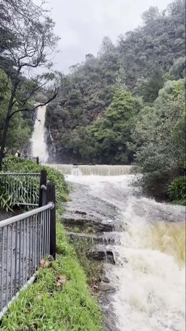 The creek at Waterfall Gully in the Adelaide foothills at full flow ...