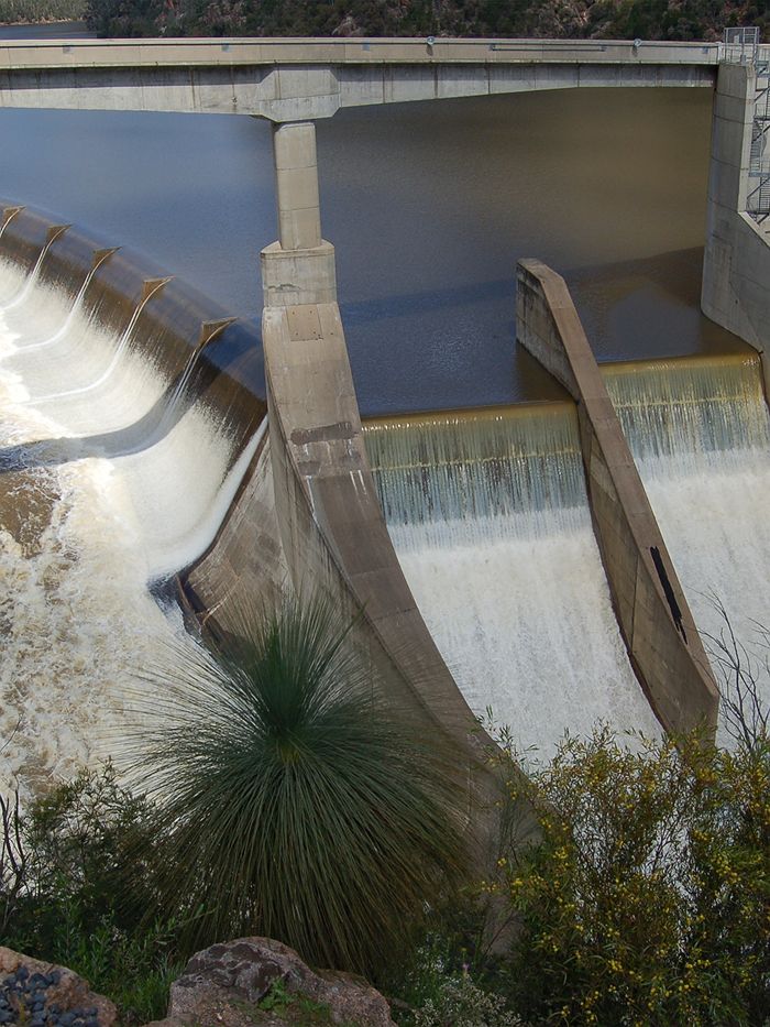 Coalition considering up to 100 dam sites - ABC News