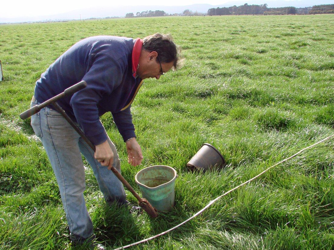 A Tasmanian soil survey is digging in to check soil health - ABC News