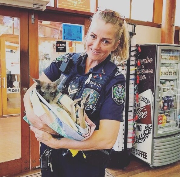 The life of an outback cop and her kangaroo sidekick - ABC News