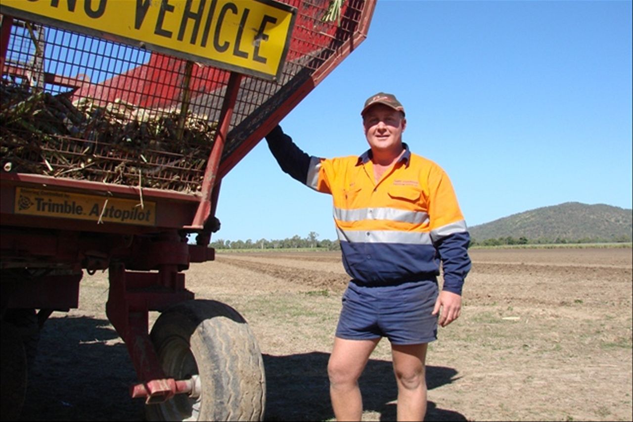 Early plant a roll of the dice - ABC News
