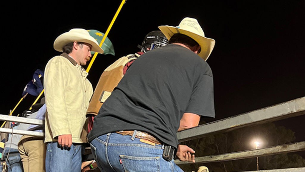 Inside Australia's amateur bull riding scene in search of rodeo glory ...