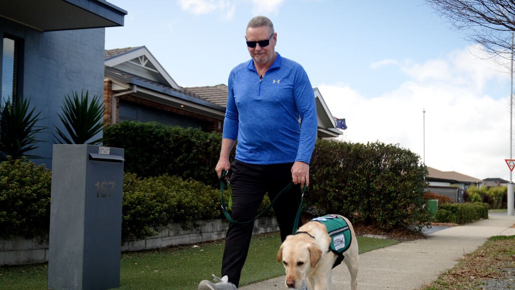 Guide dogs retrain to help veterans, first responders - ABC News