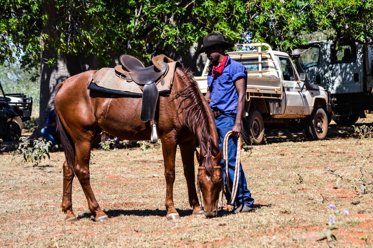 Banksia Hill alternative for Kimberley's at-risk youth at Myroodah ...
