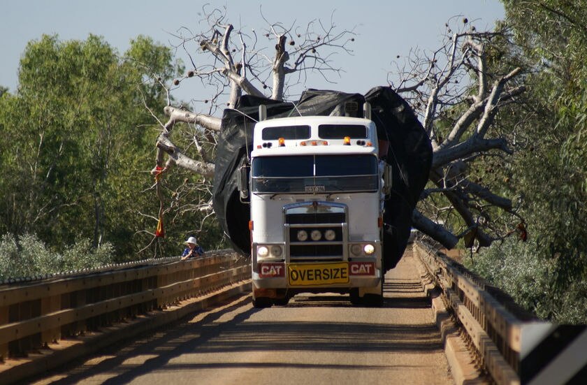 Giant boab arrives in Perth after 3,000 km journey - ABC News