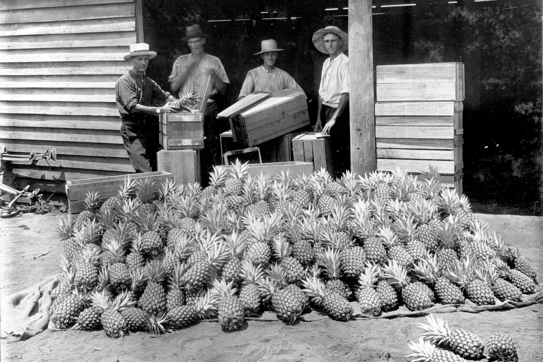 National Archives of Australia launches crowd funding campaign to ...