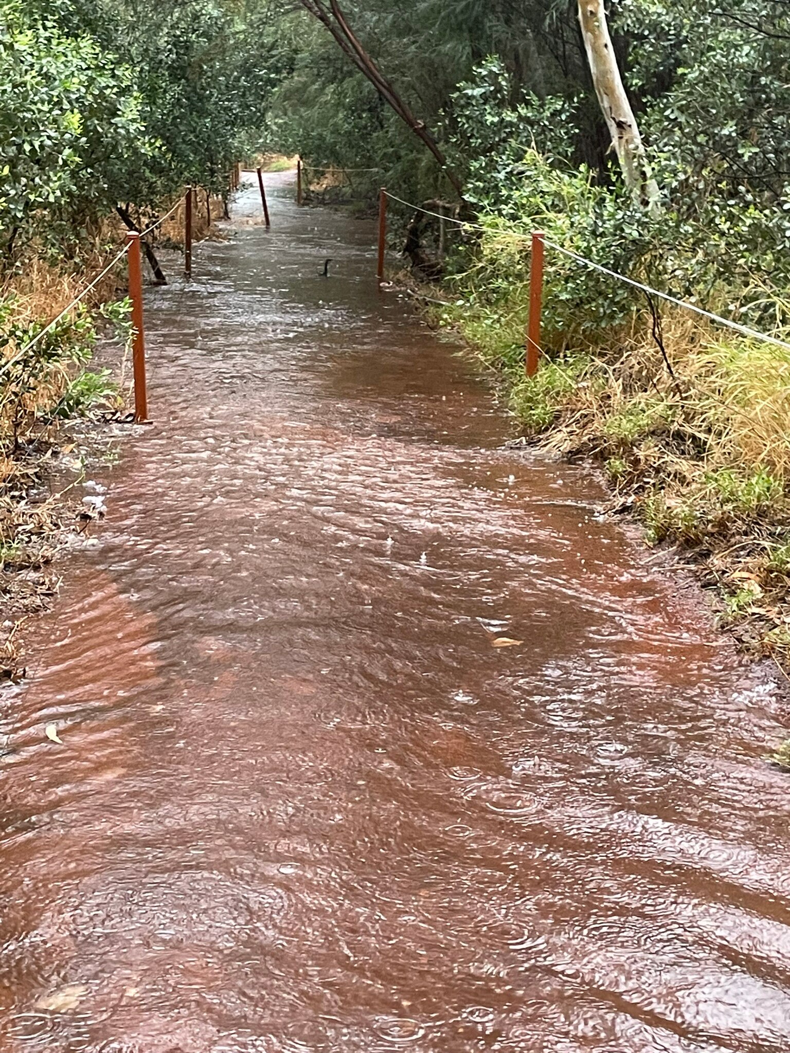 Uluru wet weather track closures costing tourism operators vital ...