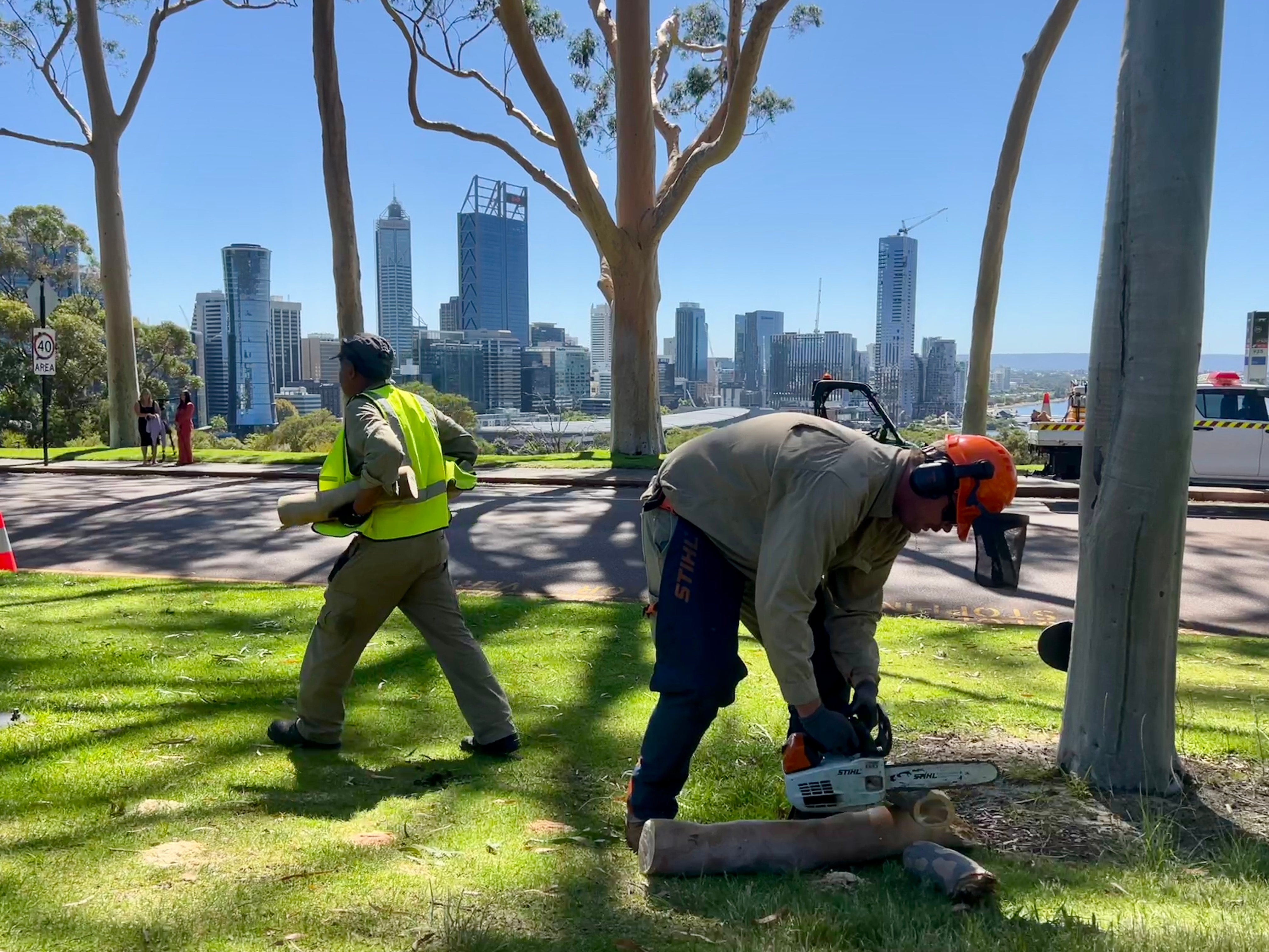 Tree branch falls on people gathered for Australia Day at Perth's Kings ...