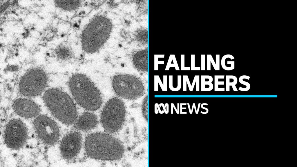 Monkeypox could be eliminated in Europe, WHO says - ABC News