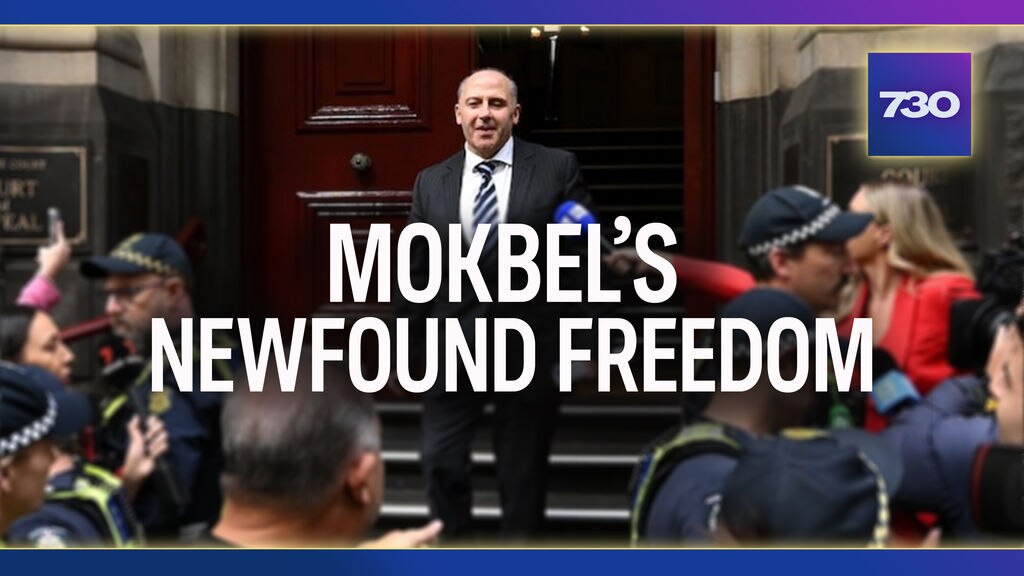 First days of freedom for Tony Mokbel - ABC News