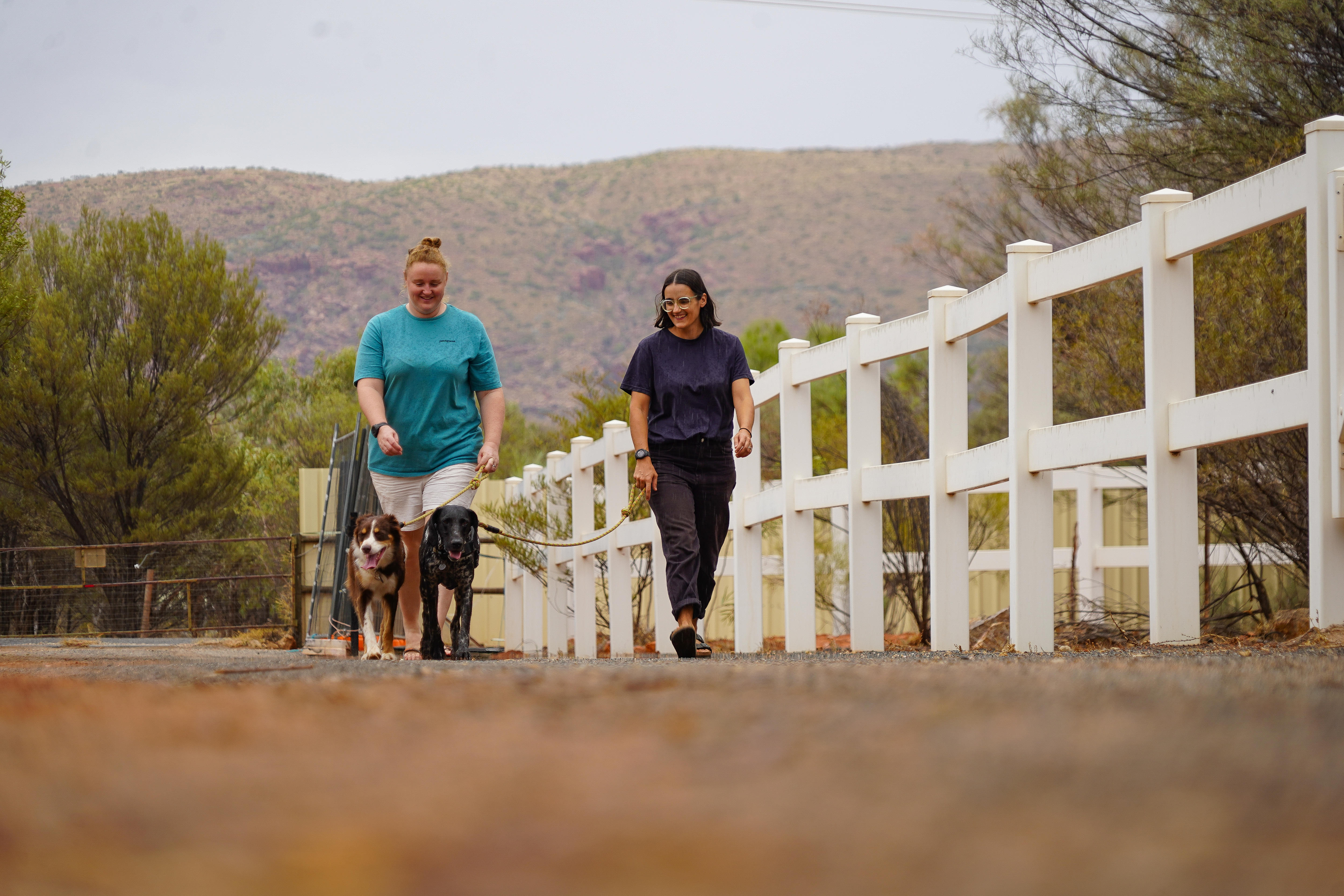 Bans on animals in strata properties leave pet owners with limited ...