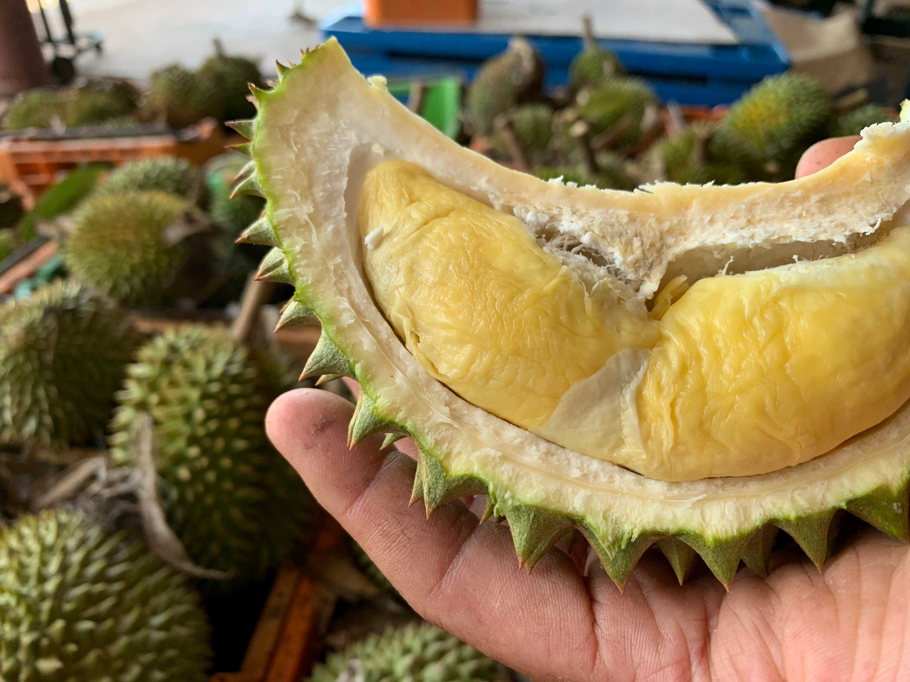 Doerian Musang King Durian Price Drops 40%, Malaysia Launches 2 New
