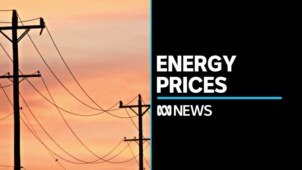 Treasurer says government's energy price relief plan is working - ABC News