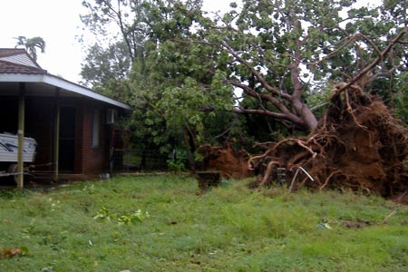 Ex-cyclone Monica 'unlikely' to reform - ABC News