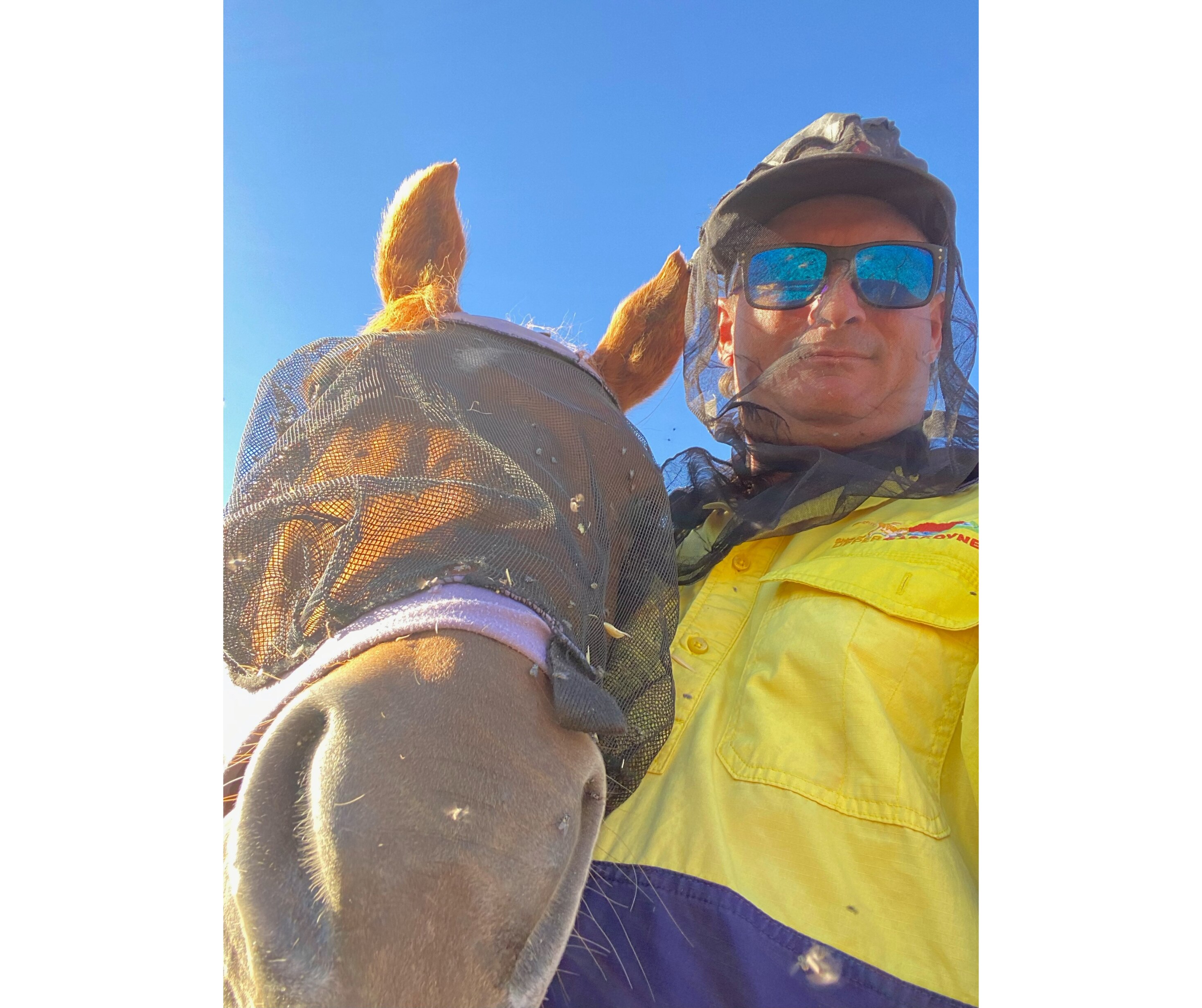 Late bush fly surge frustrates tourists and residents across Western ...