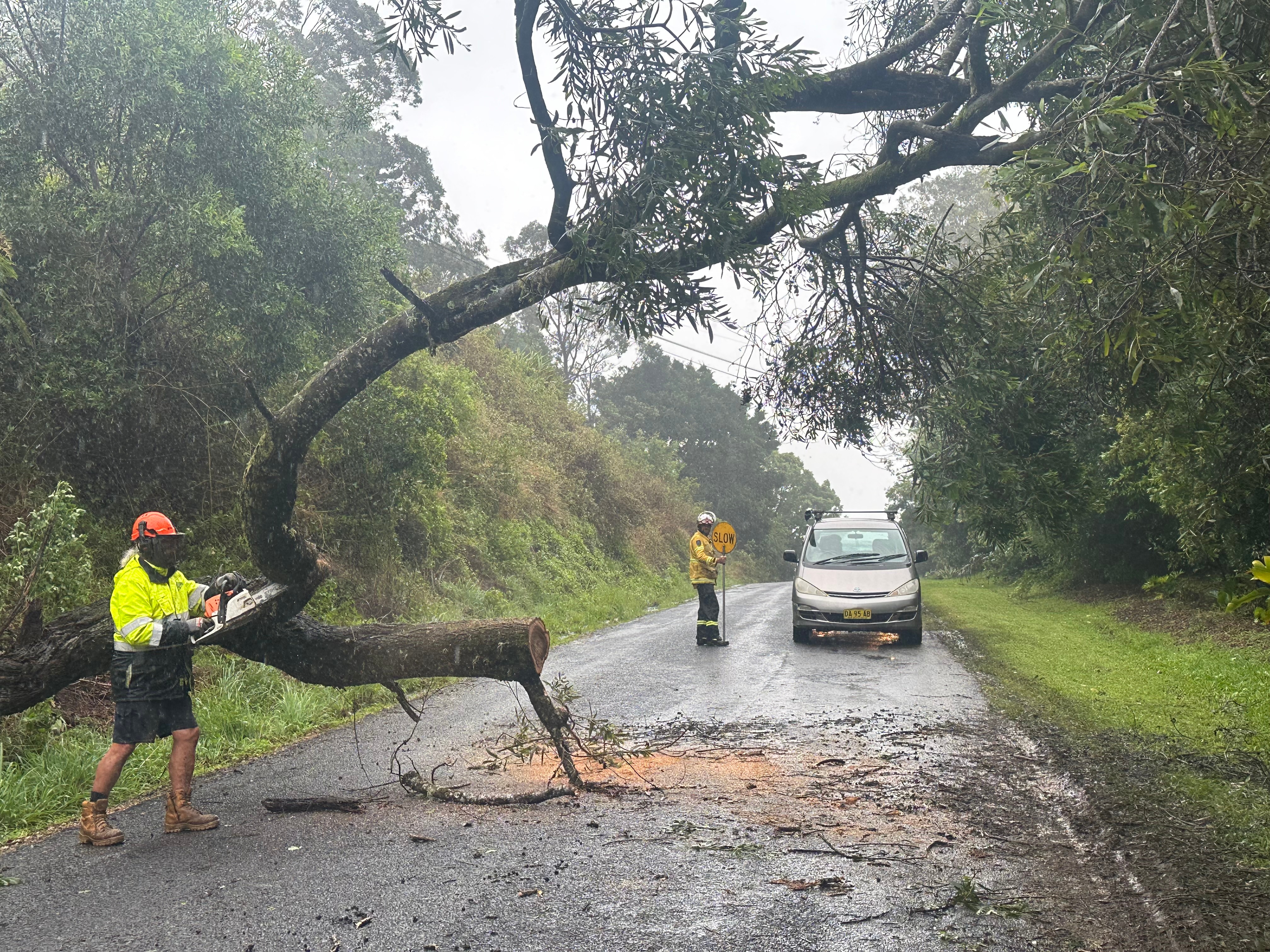 Claire Simmonds - ABC News