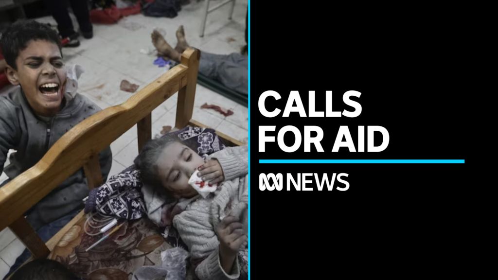 UN says half of Gaza's population now starving - ABC News