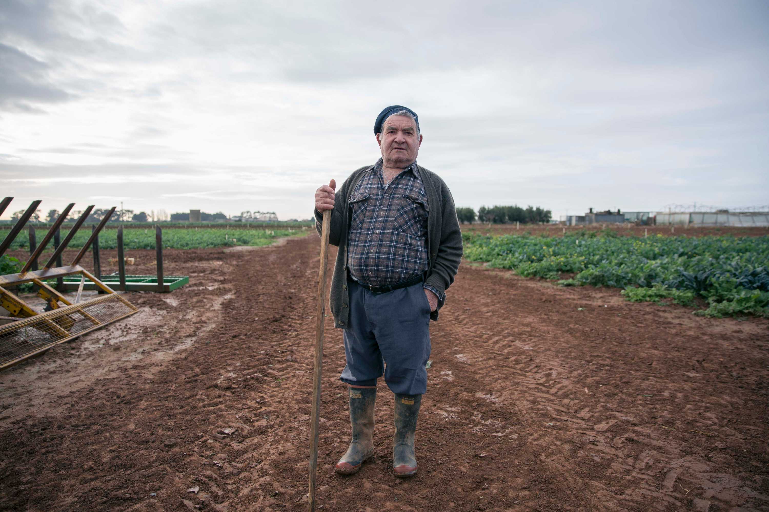 Farming on the fringe - ABC News