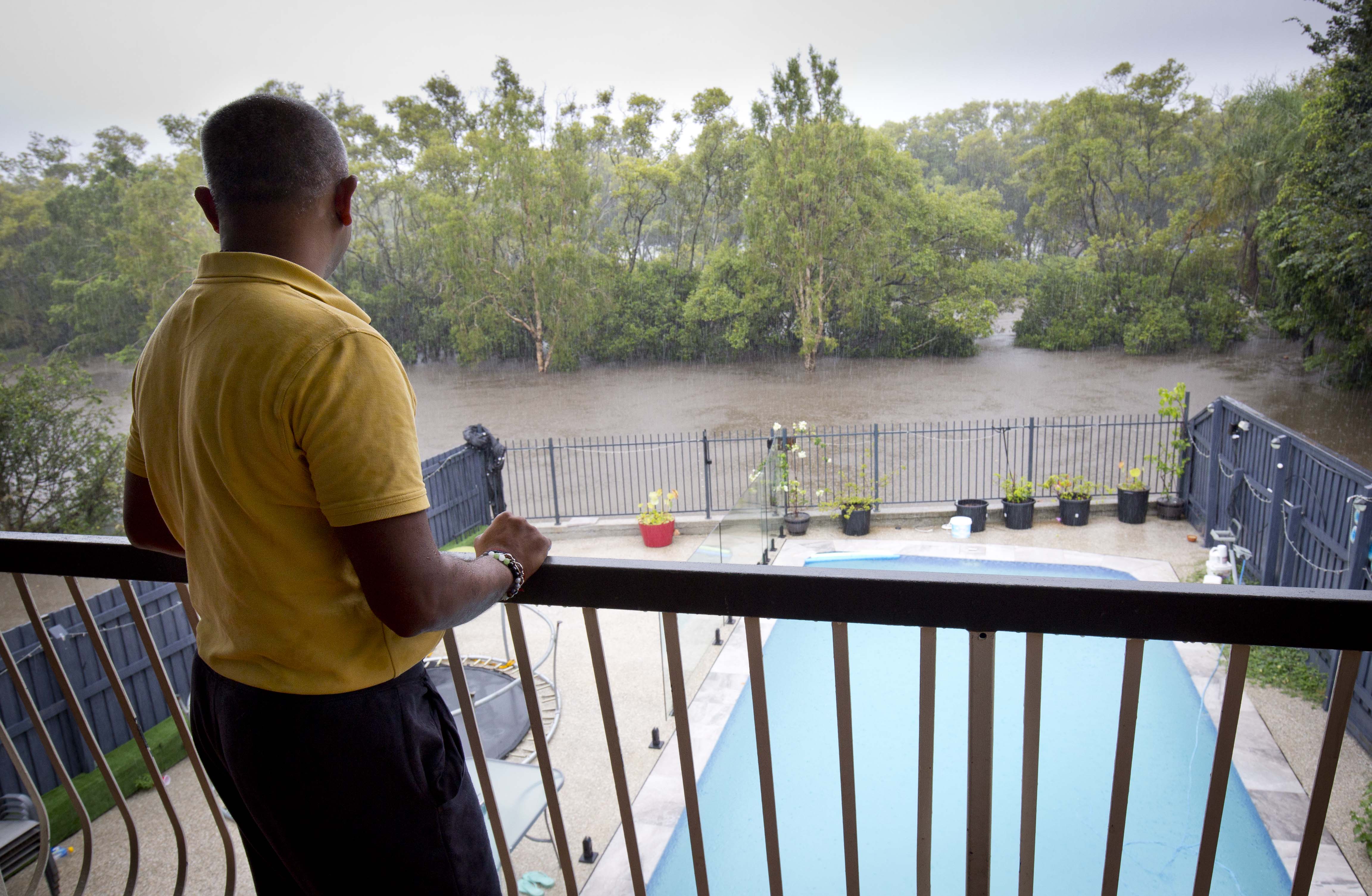 Native red triangle slugs pop up in Queensland backyards after rain ...
