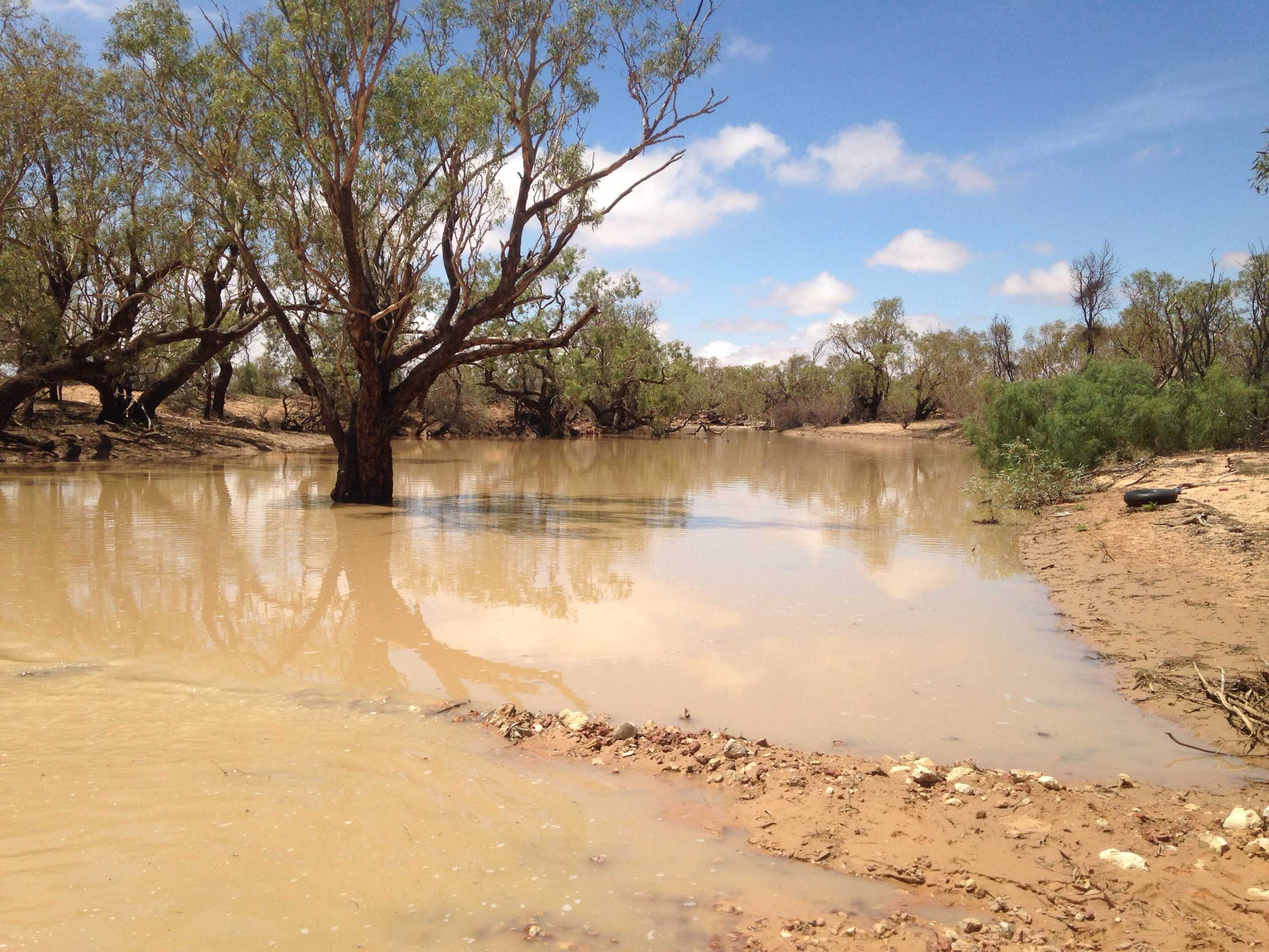 Outback South Australia awash with huge unseasonal rain - ABC News