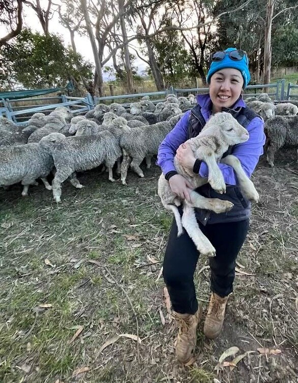 Women wool brokers and experts are the new force educating the world on ...