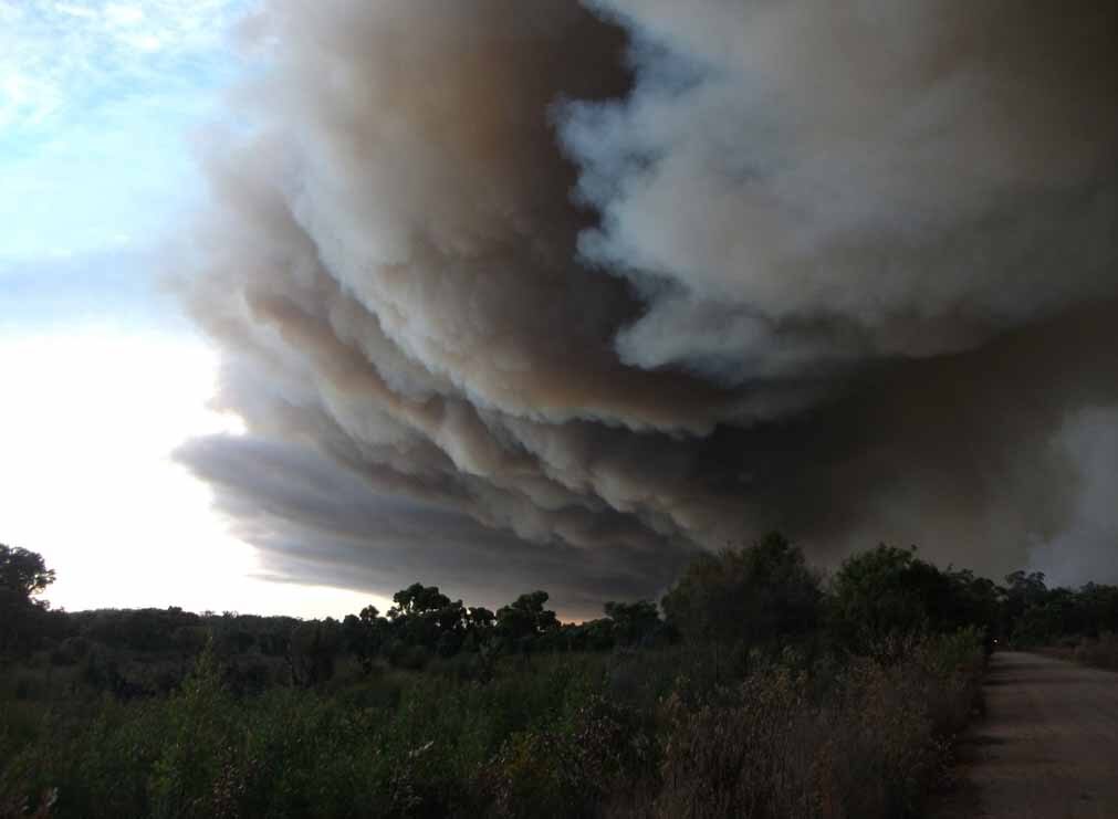 Homes and farms threatened by Northcliffe bushfire - ABC News