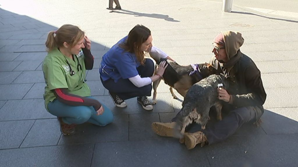Volunteers help homeless people care for their pets - ABC News