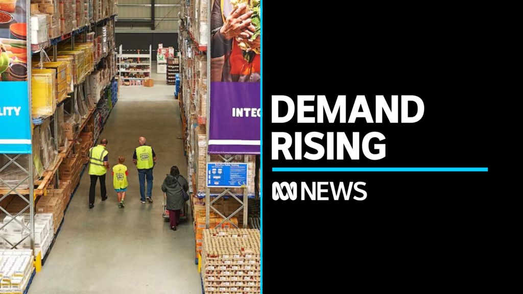 Stuart Robert's RoboDebt | Insiders - ABC News