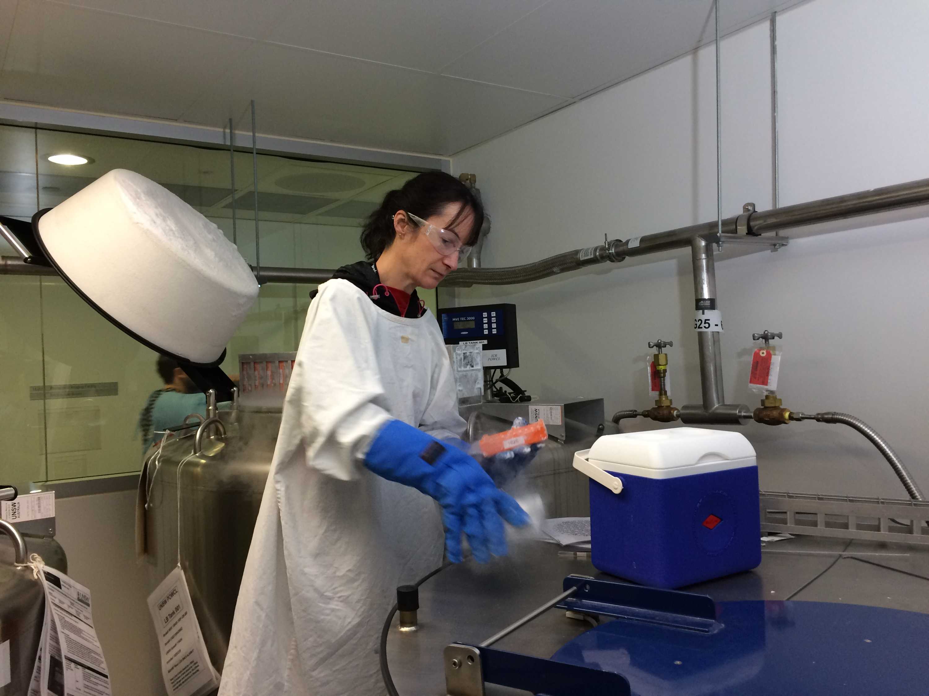 World's first fallopian tube 'biobank' starts ectopic pregnancy ...