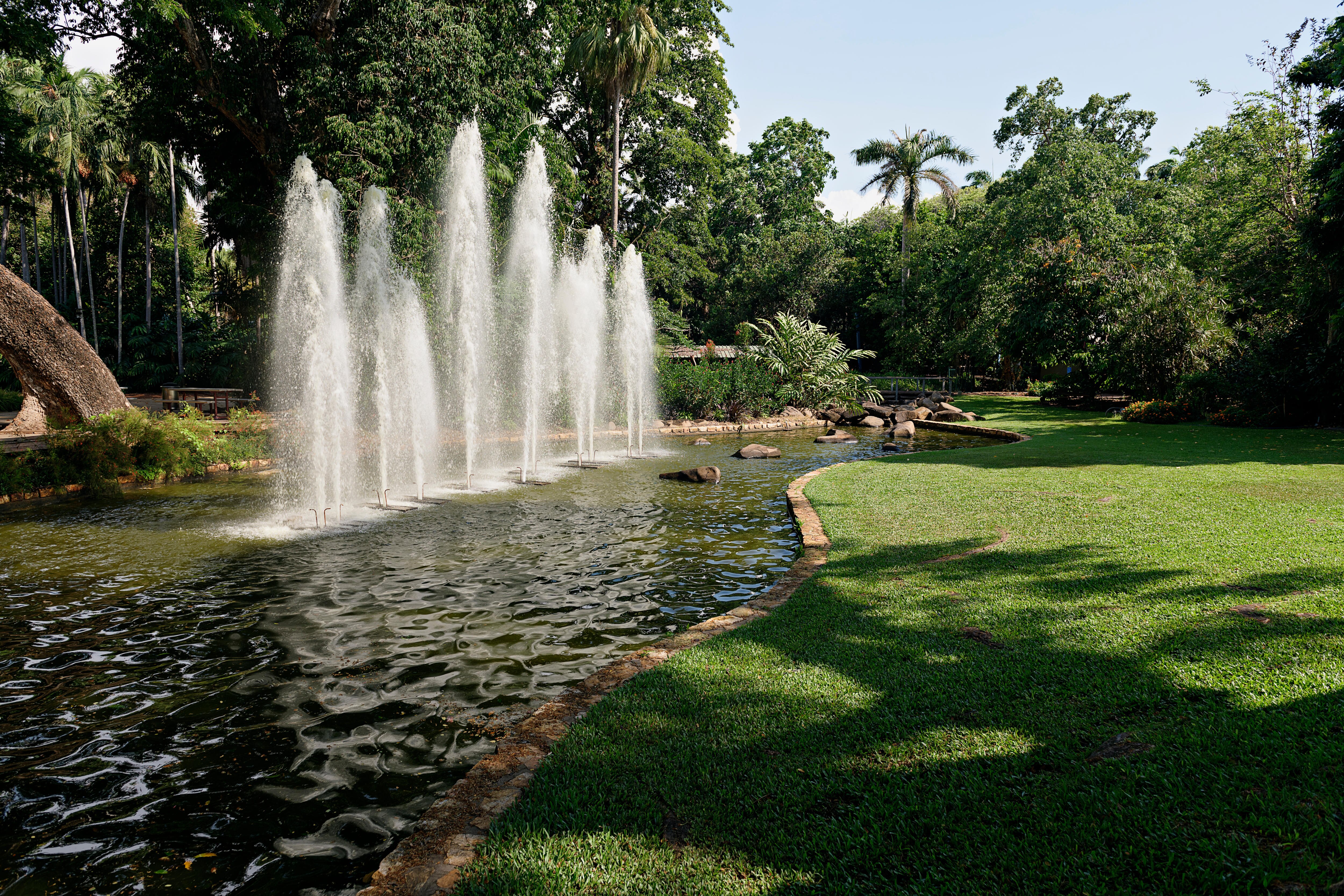 Woman killed by falling tree branch in Darwin Botanic Gardens was a ...