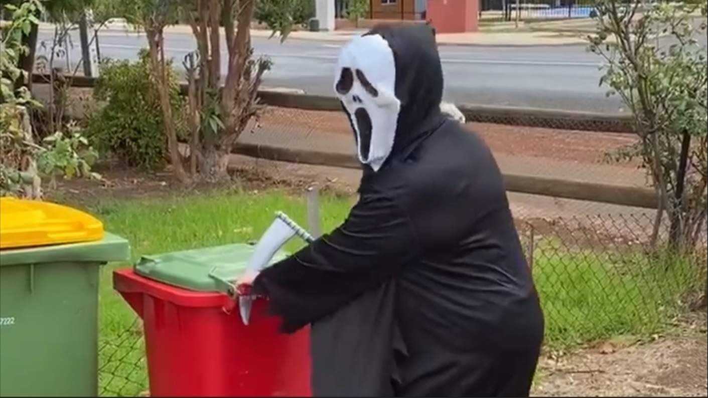 The Bin Reaper - ABC News