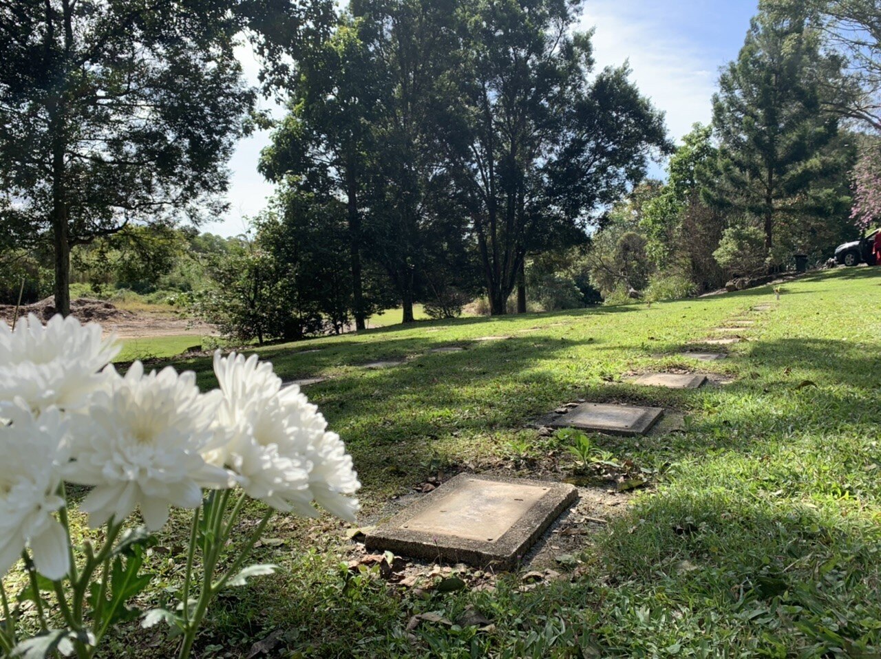Tweed Heads cemetery thief sentenced for removing memorial plaques from ...