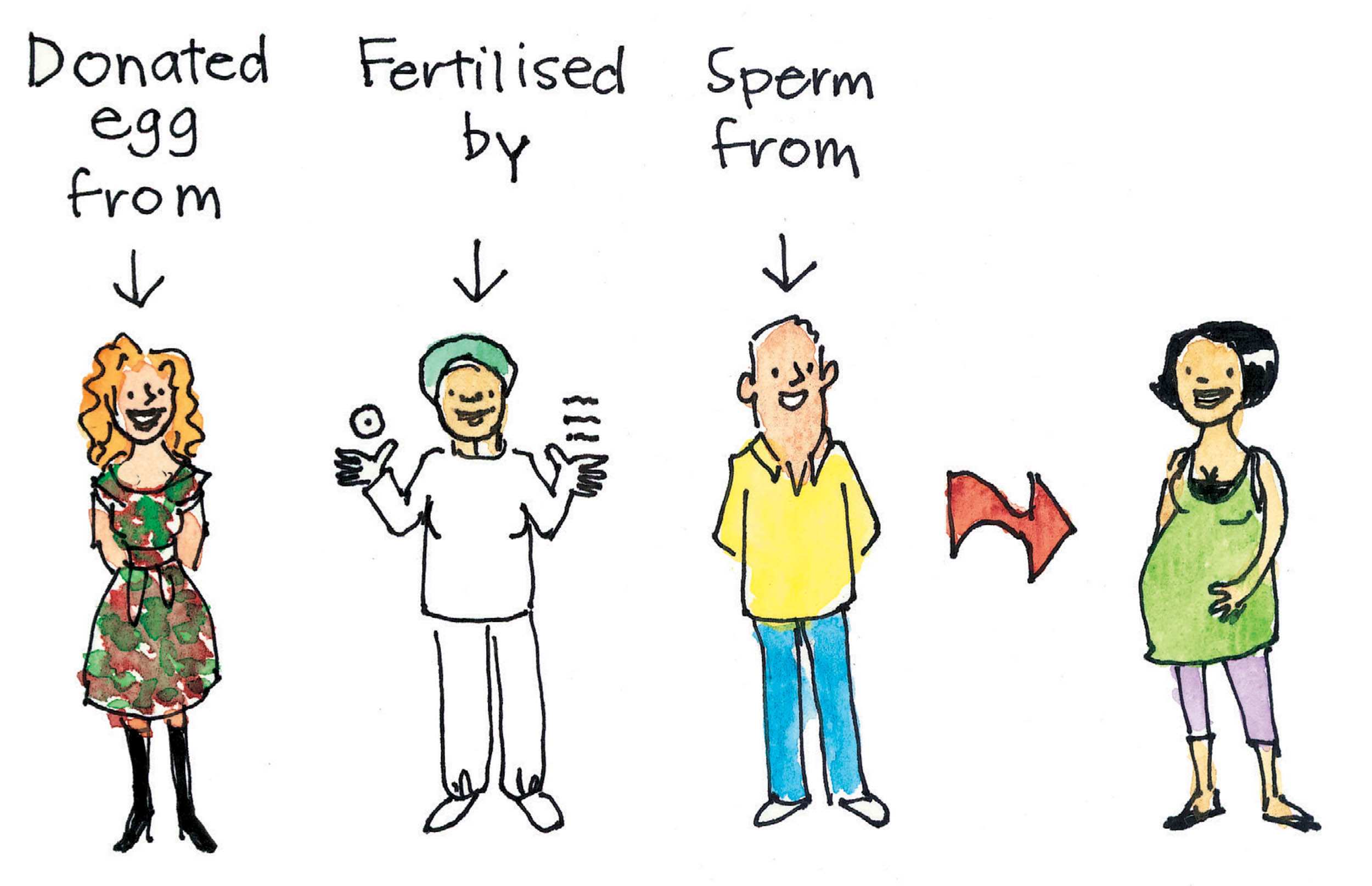 How babies are made: cartoonist Fiona Katauskas explains the birds and ...
