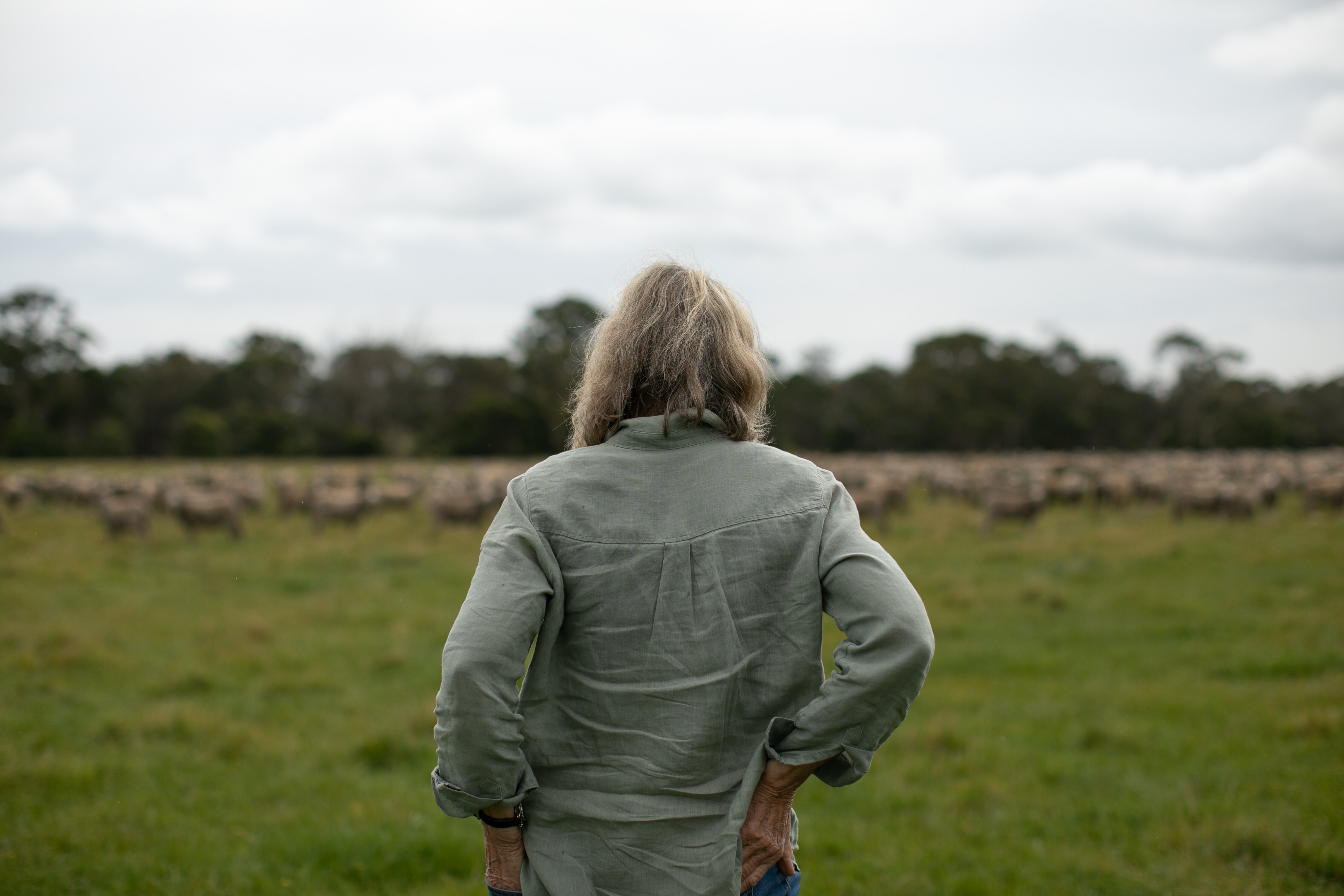 A moment of truth: Recording a country's painful past - ABC News