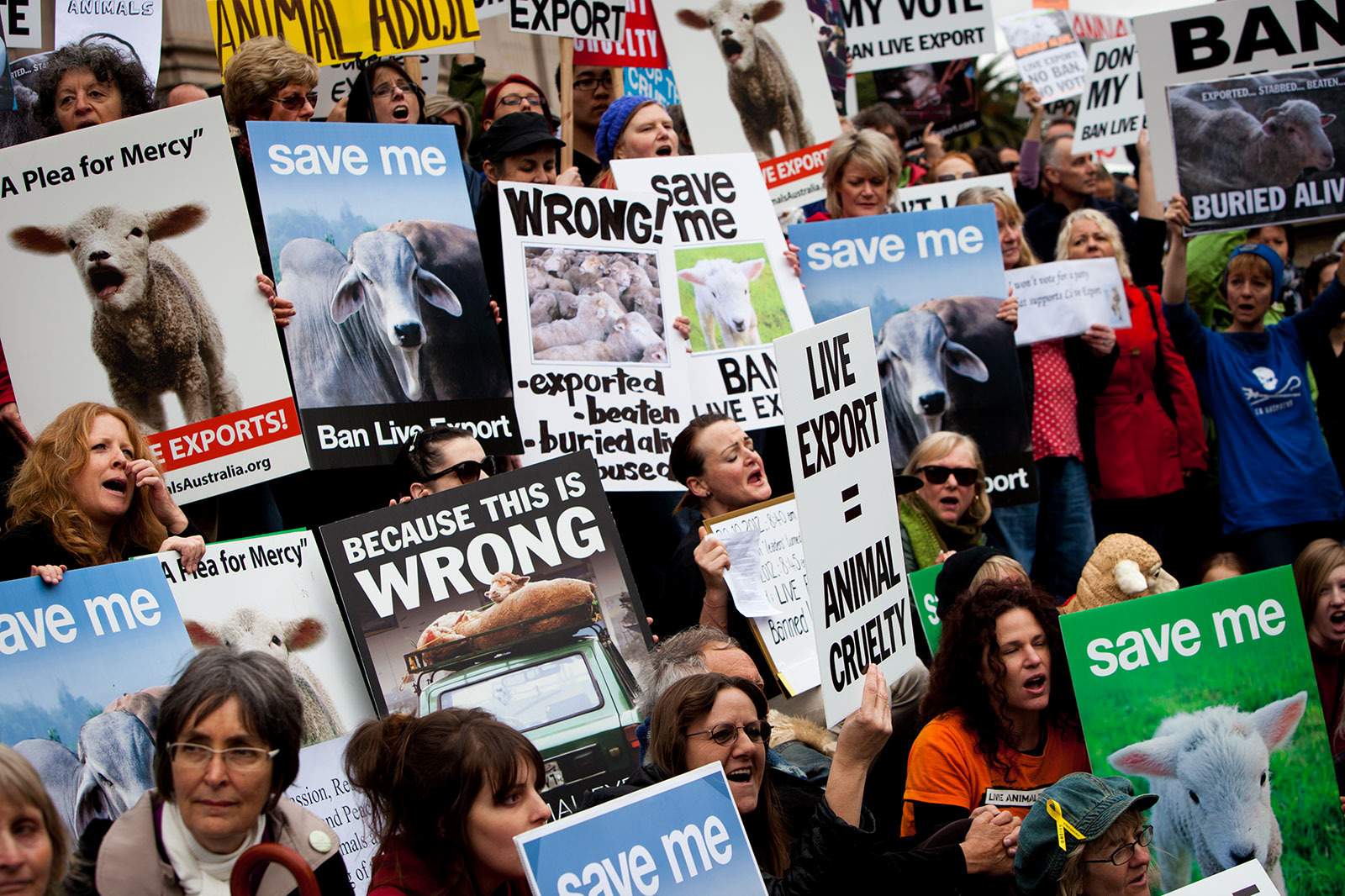 Thousands rally against live export trade - ABC News