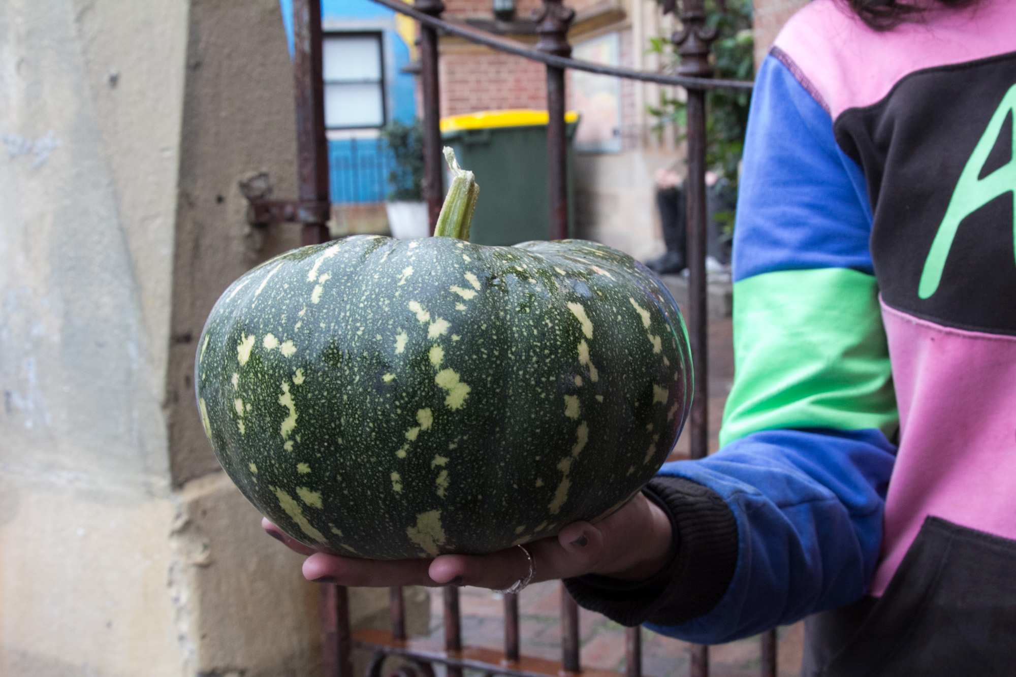 Pathfinders receives tonnes of pumpkins for annual Sydney charity run ...