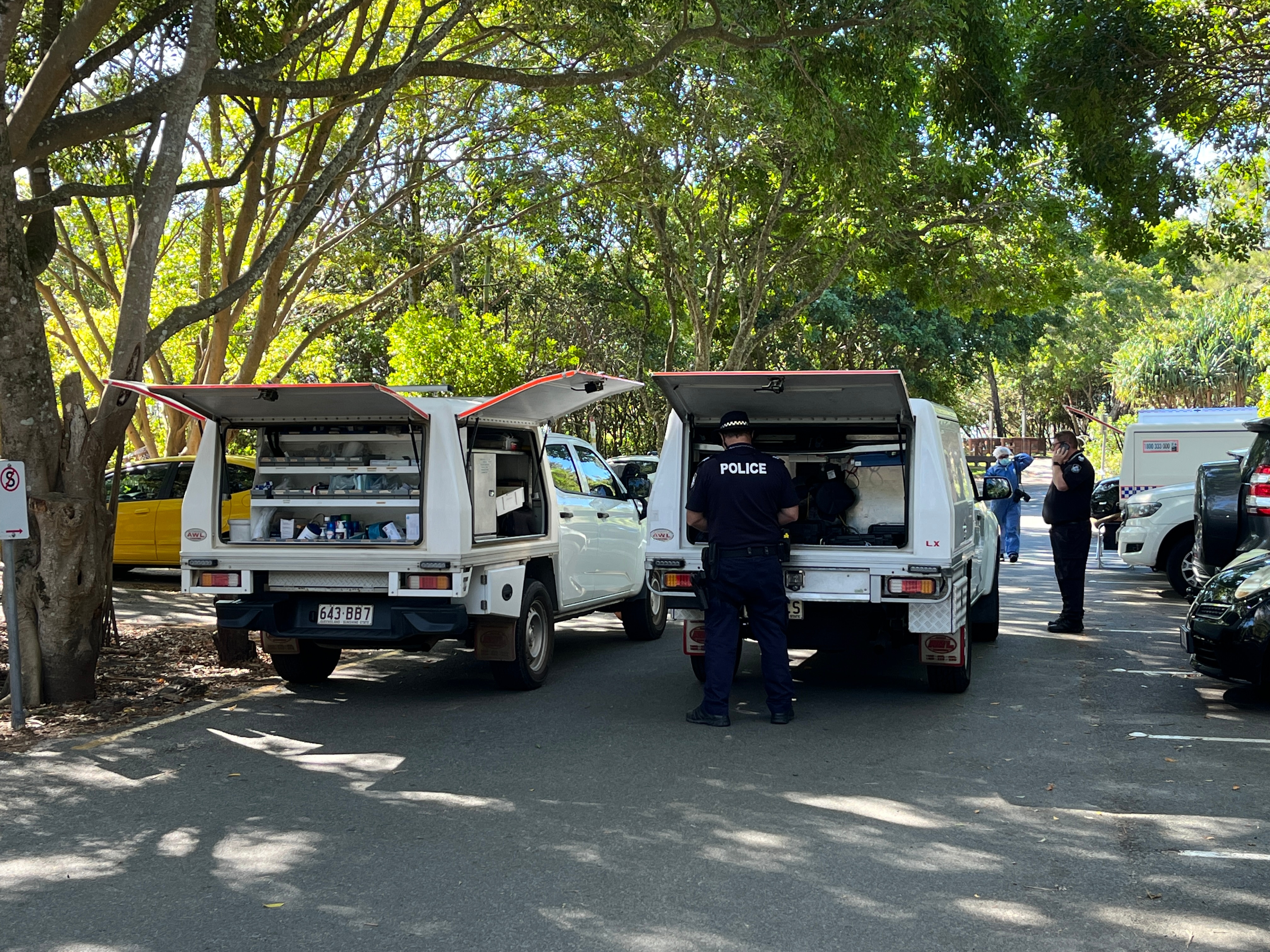 Michelle Tapper - ABC News