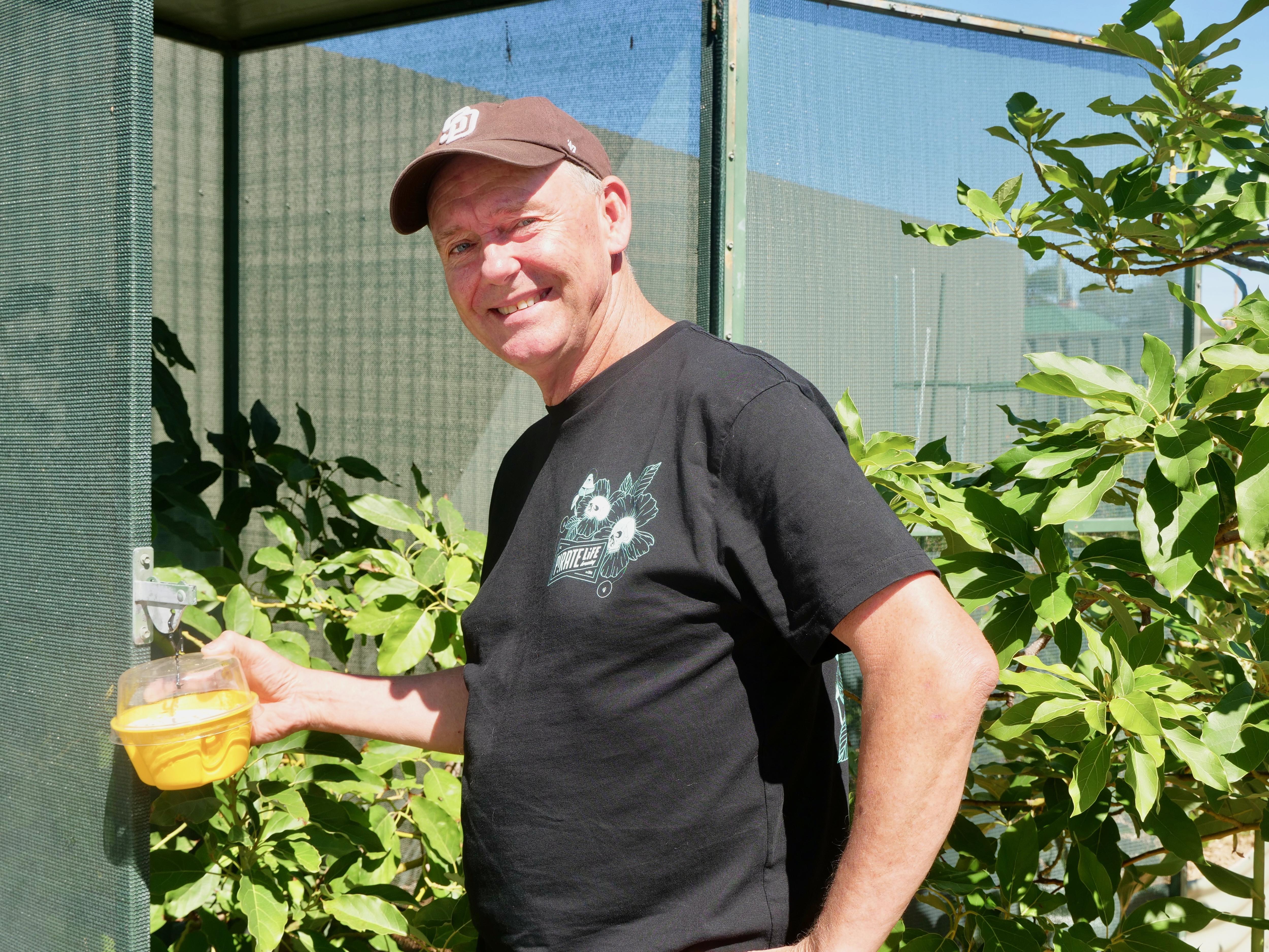 Broken Hill gardeners chop down trees in battle with Queensland fruit ...