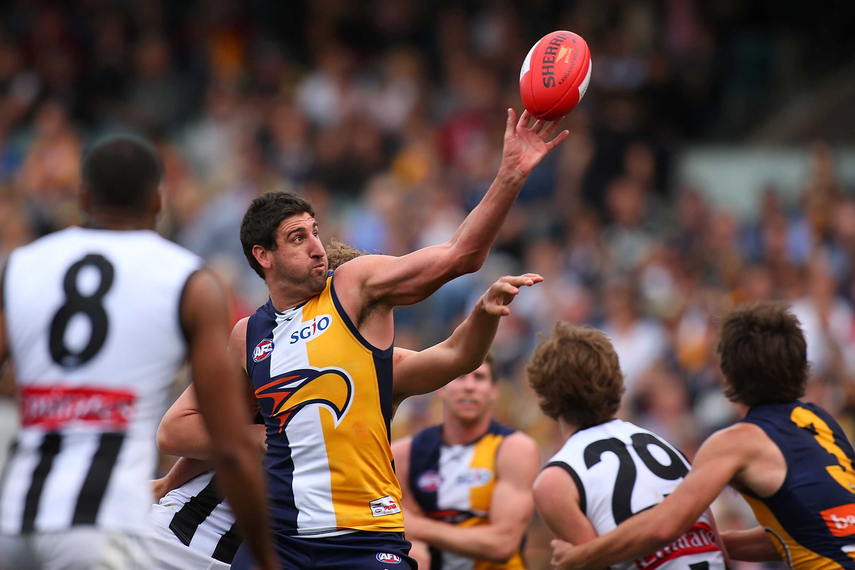 Dean Cox to stay in Sydney and reject lure of coaching old club West ...