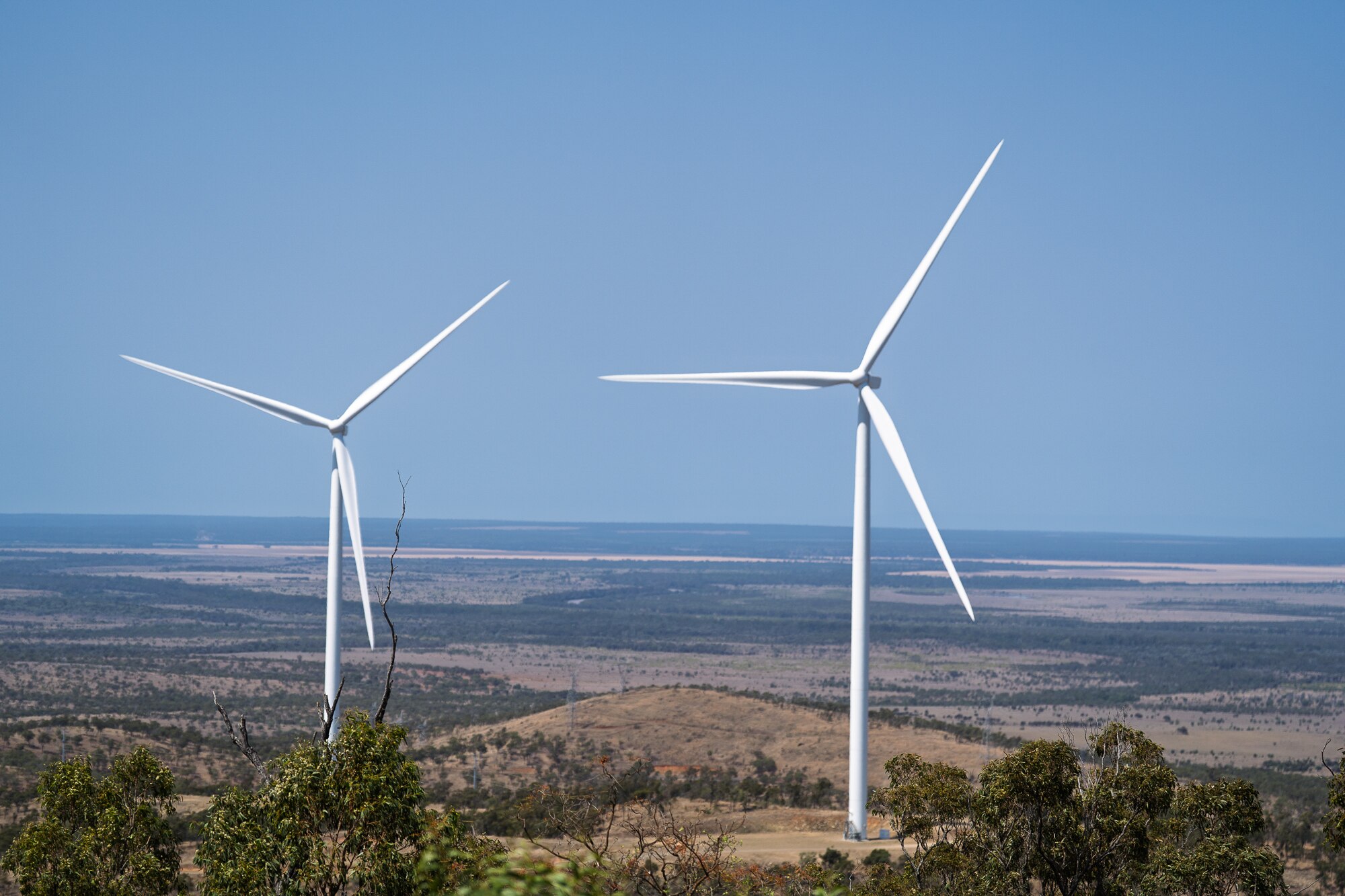 Rainforest Reserves Australia questioned over submissions against ...