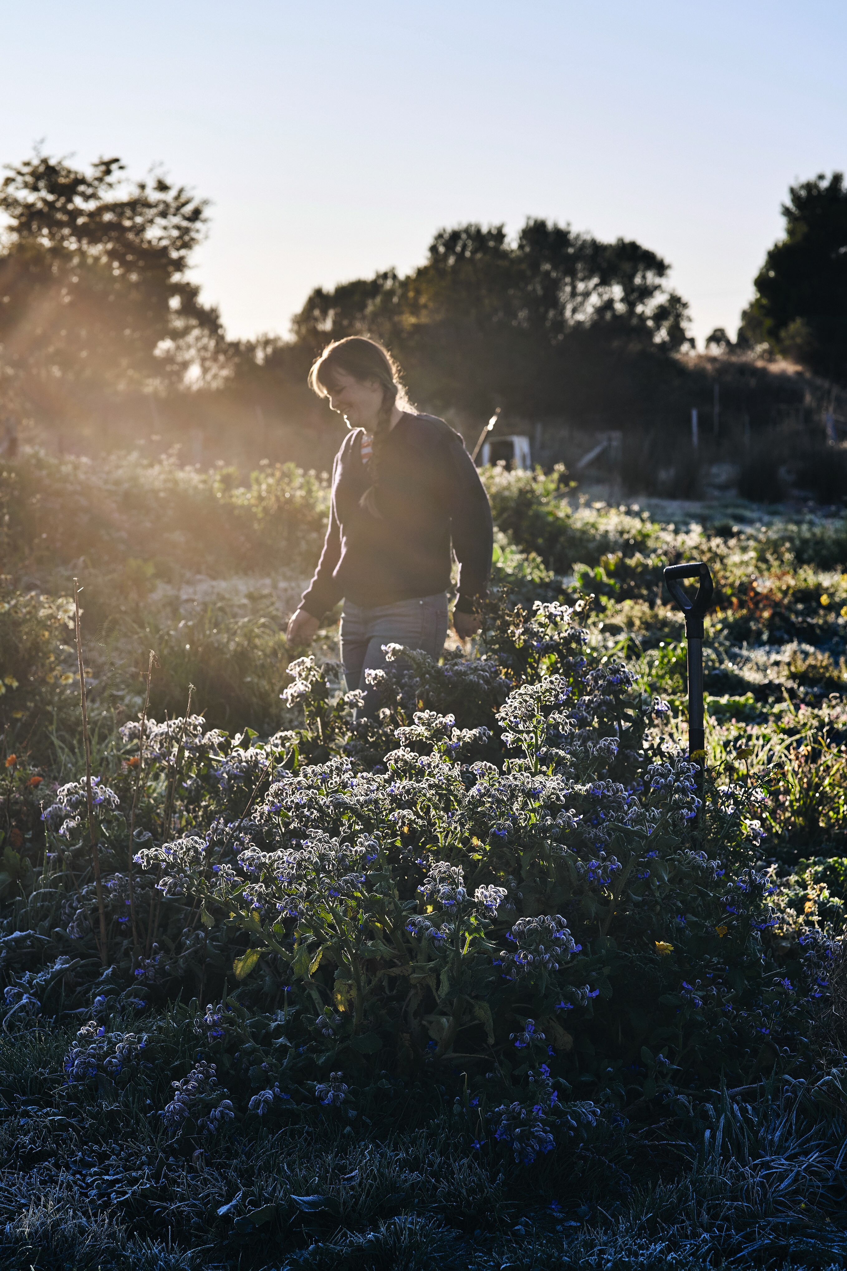 Blueprint For Living with Jonathan Green - ABC listen