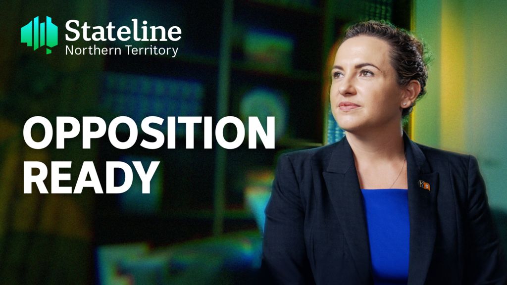 Lia Finocchiaro sits down with Stateline NT - ABC News