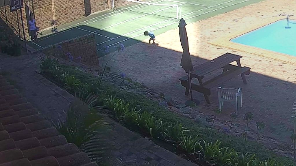 Watch the moment three-year-old Lucia Carna is bitten by a snake while ...