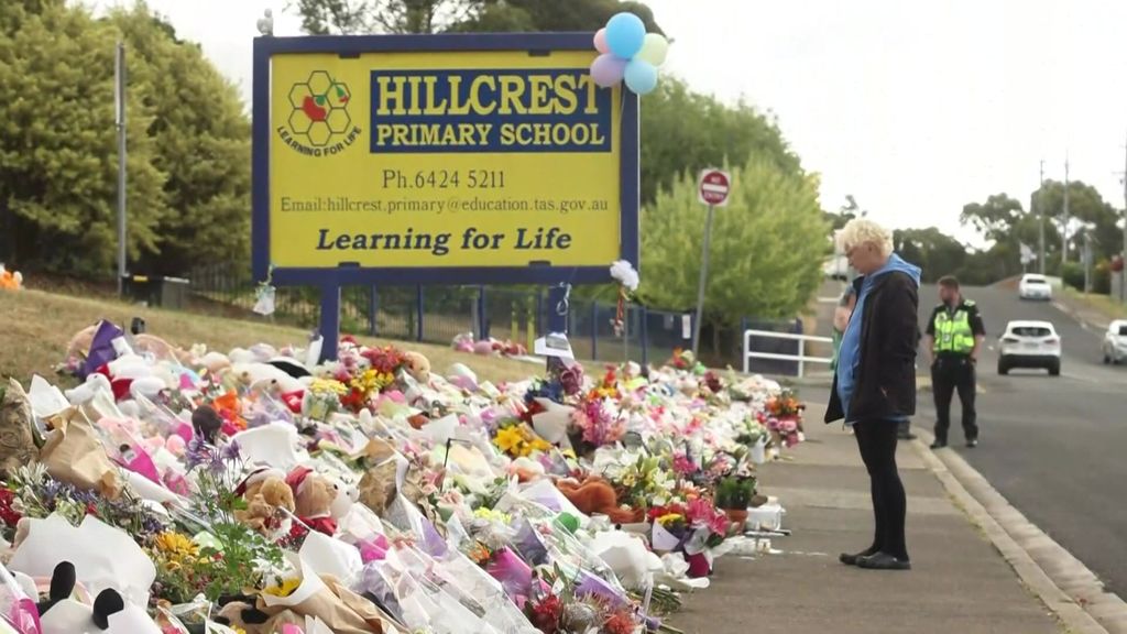Hillcrest tragedy jumping castle operator found not guilty - ABC News
