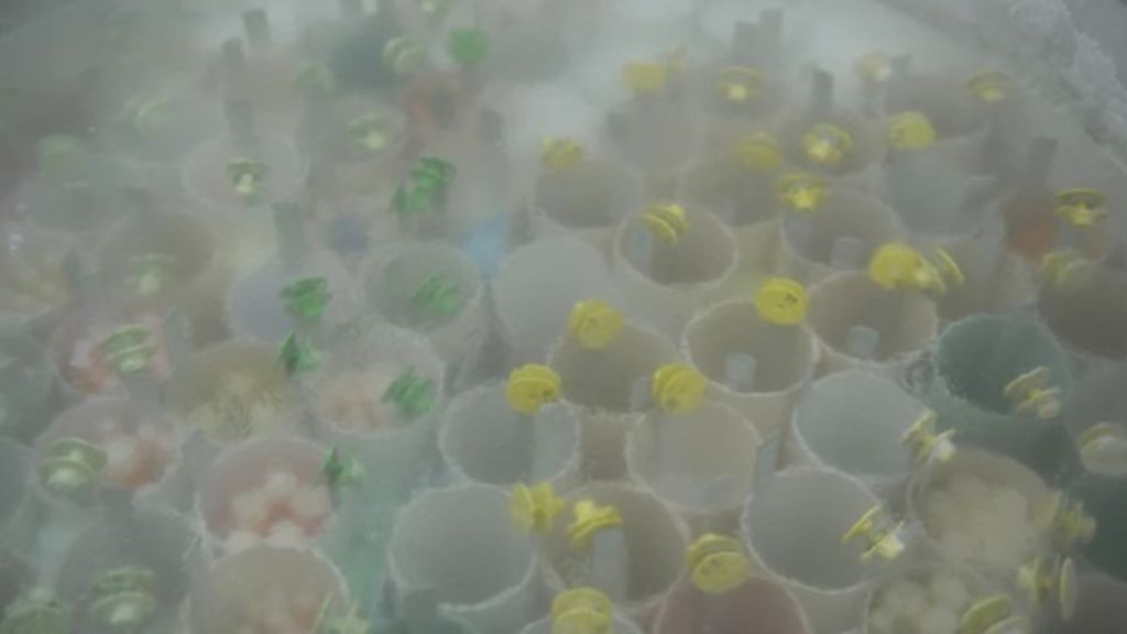 ABC Rural - ABC News