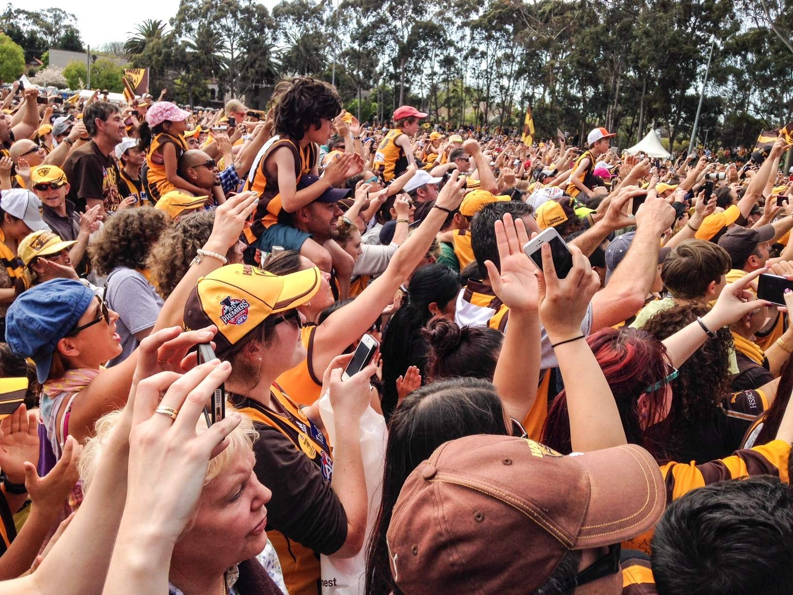 Hawthorn fans celebrate AFL premiership win at Glenferrie Oval - ABC News