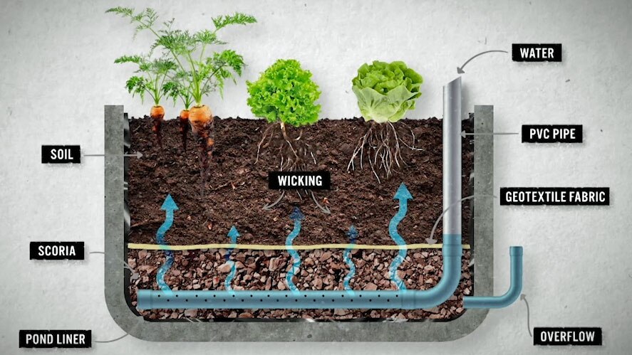 Quick Wick Fix - Gardening Australia