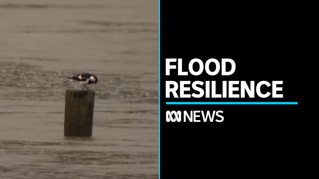 Milperra - 2214 - Location - ABC News