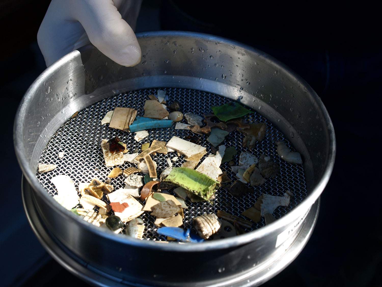 Microbeads, single-use plastic bags to be recommended for ban by Senate ...