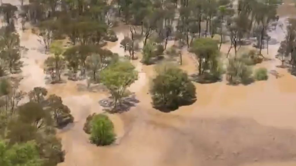 Chopper footage of flooding near Capella - ABC News